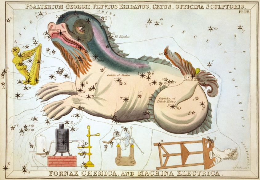Staracle Constellation Whale Cetus 